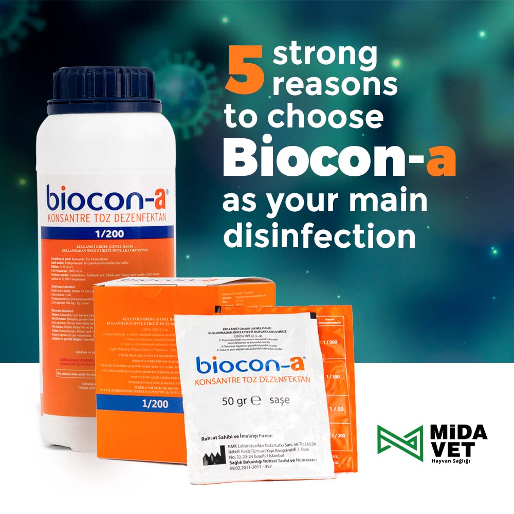 5 strong reasons to choose Biocon-a as your main disinfectant